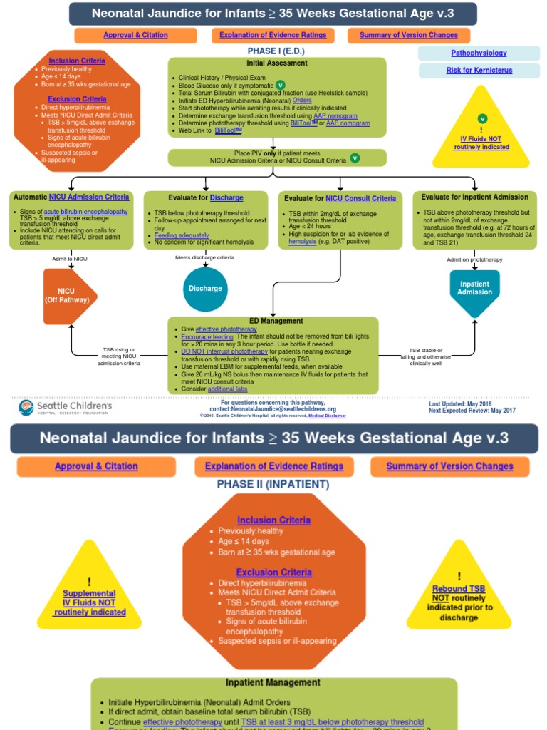 Neonatal Jaundice Pathway | Neonatal Intensive Care Unit | Breastfeeding