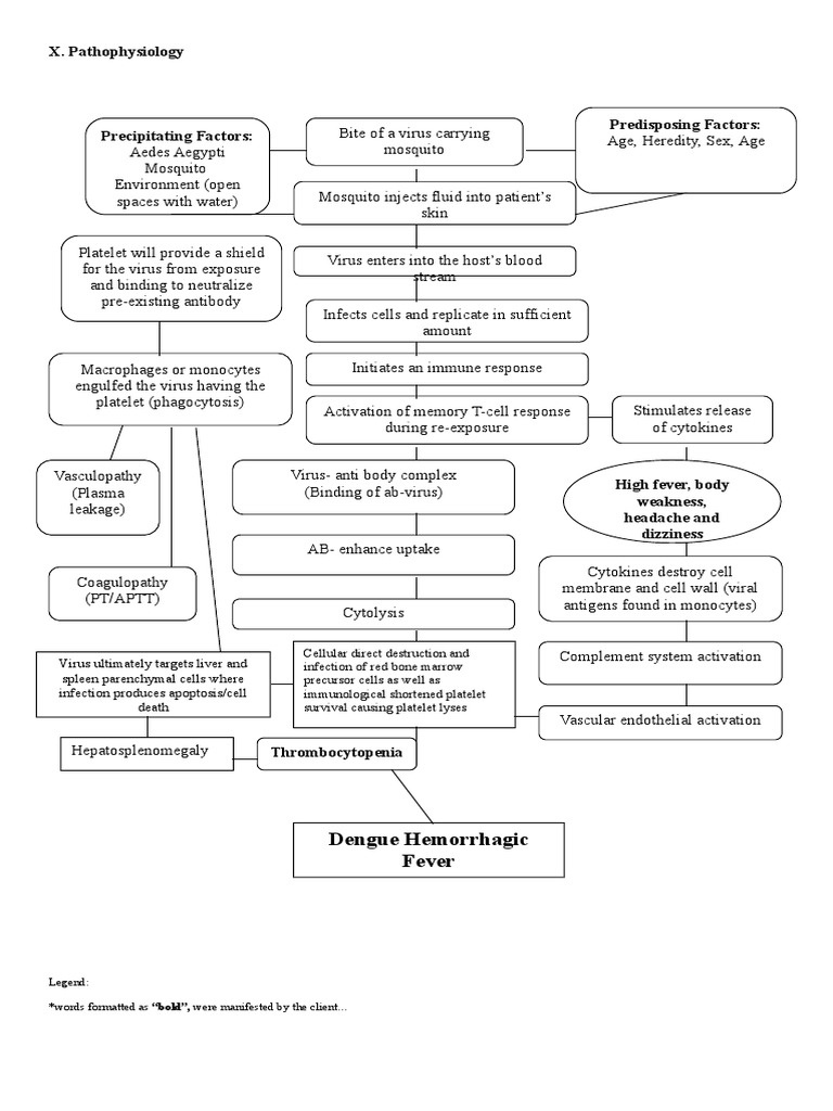 X Pathophysiology Dengue Fever | PDF