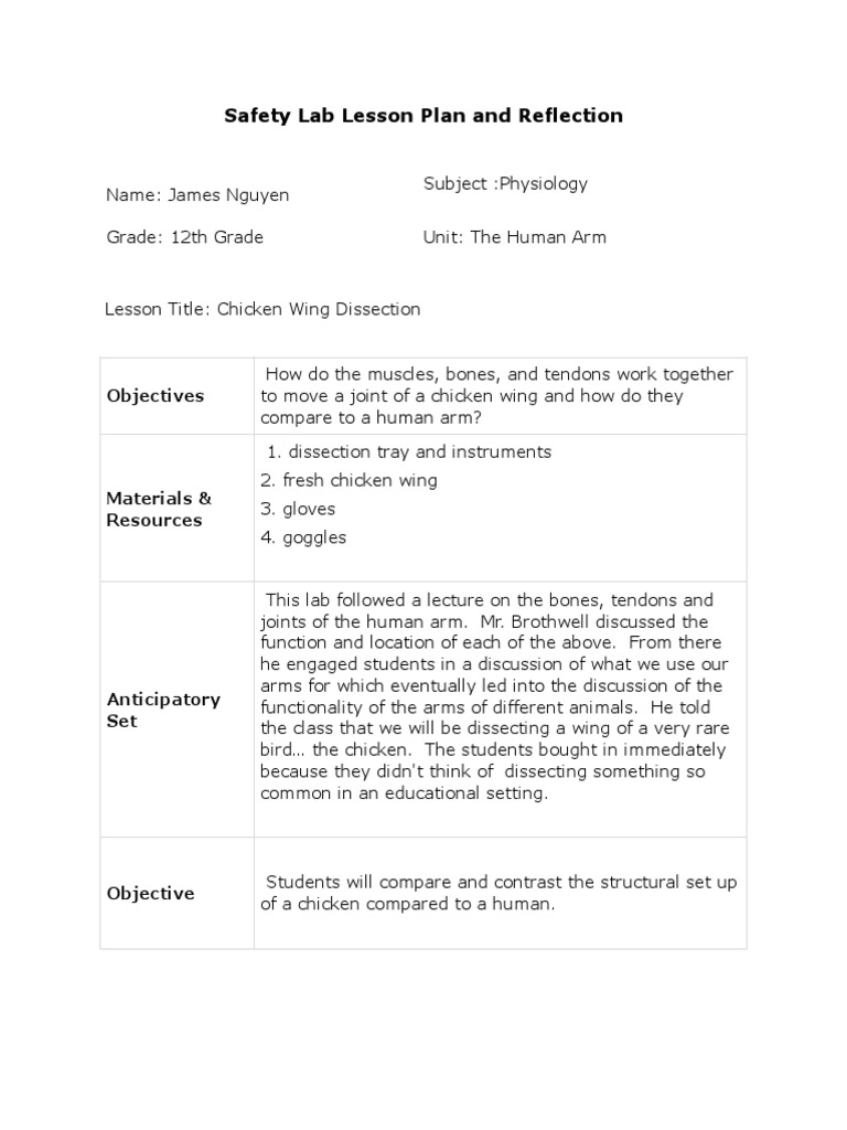 Safety Lab Lesson Plan and Reflection: Objectives | PDF | Arm | Elbow