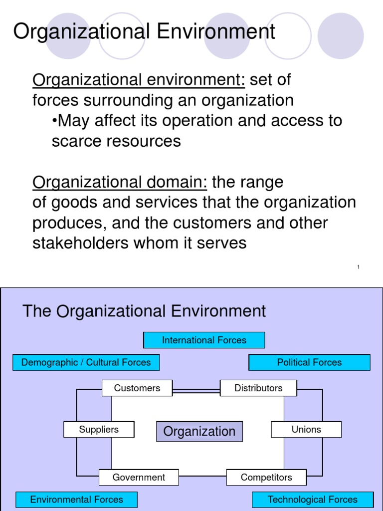 Understanding Organizational Environment Factors | PDF | Transaction ...