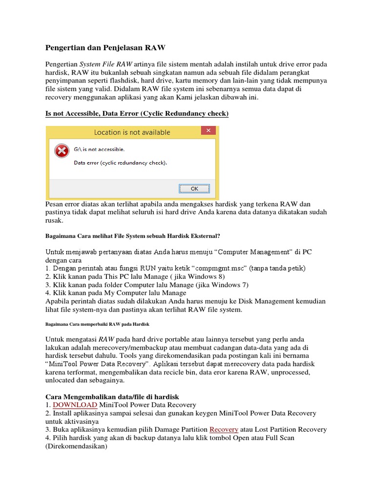 Pengertian Dan Penjelasan RAW | PDF