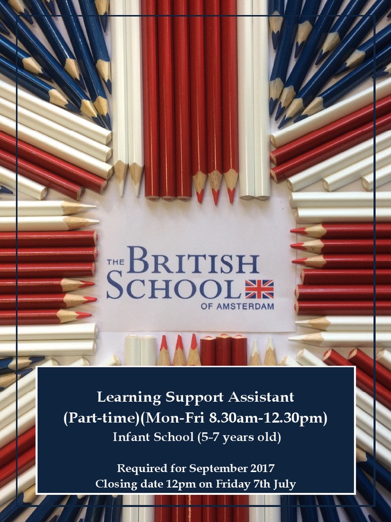 Learning Support Assistant 2017 | PDF | Teachers | Cognition