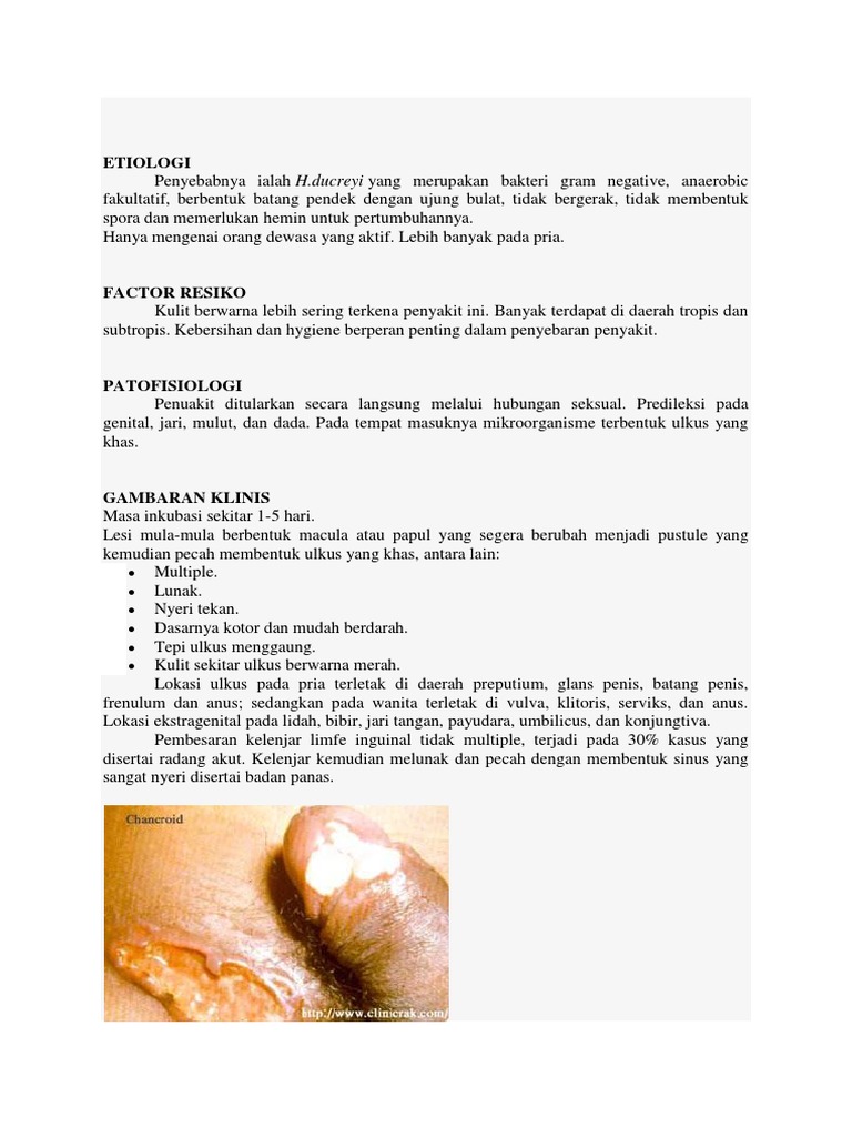 ETIOLOGI DAN PENYEBAB CHANCROID | PDF