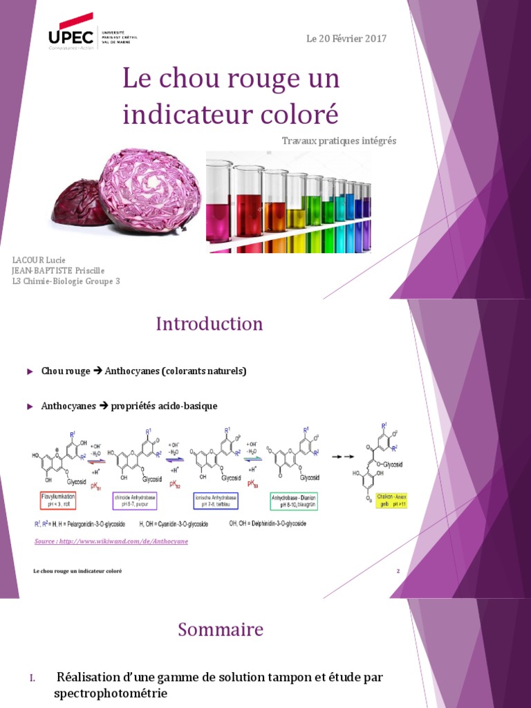 Le Chou Rouge Un Indicateur Coloré Version2 Ter | PDF ...