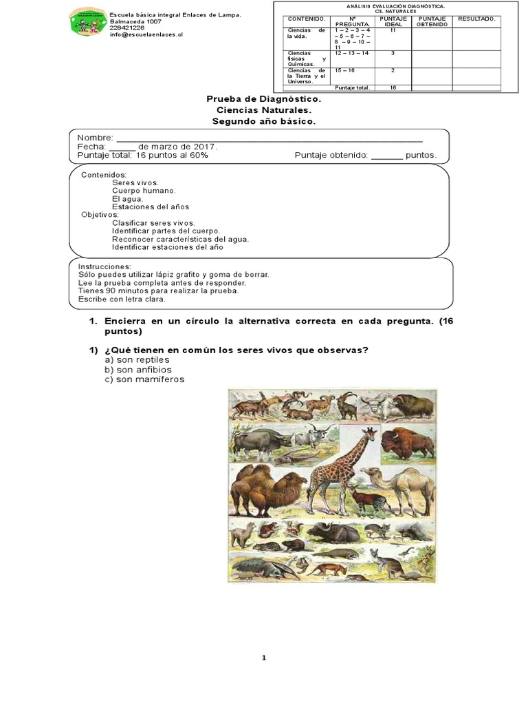 Prueba Diagnóstica Ciencias Naturales 2° Básico | PDF | Vertebrados ...