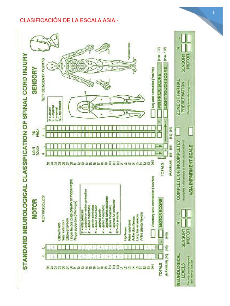 Clasificación de La Escala Asia