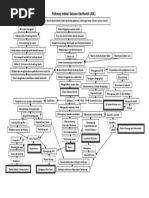 Patofisiologi Pathway Isk | PDF