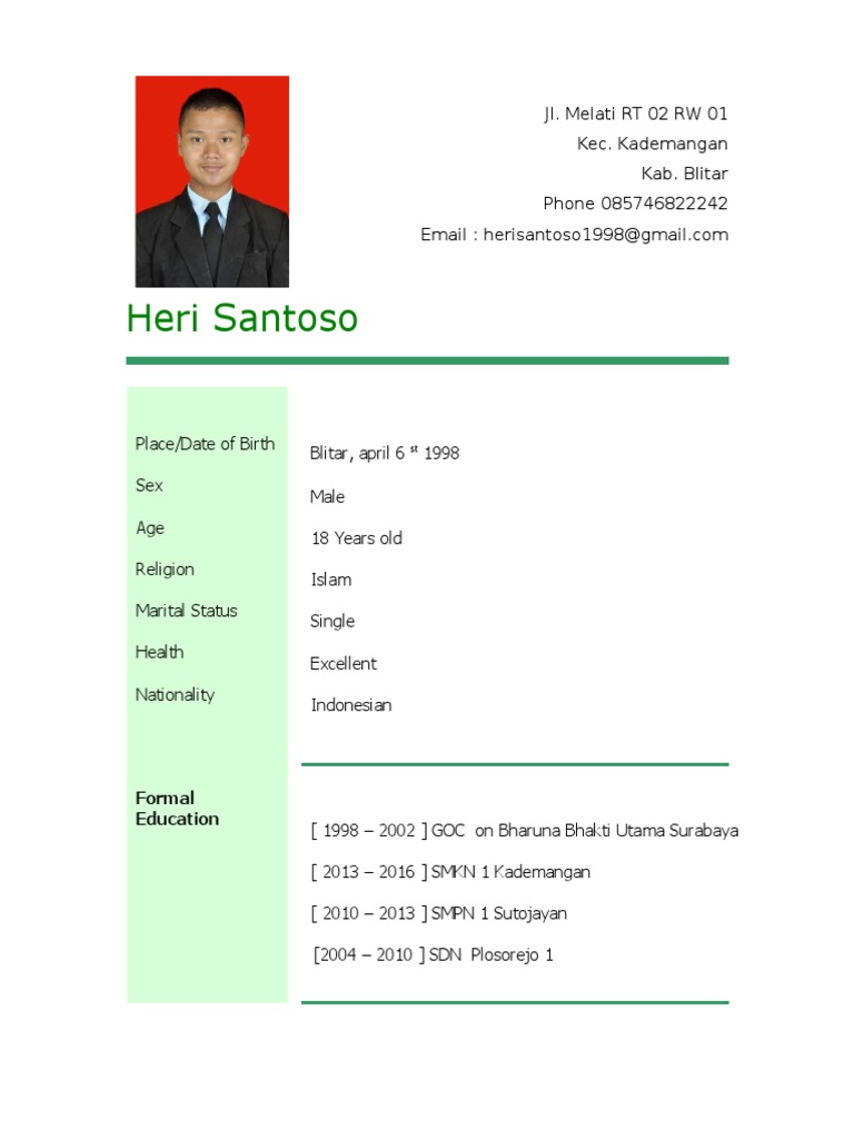 CV Heri Santoso | PDF | Digital Technology | World Wide Web