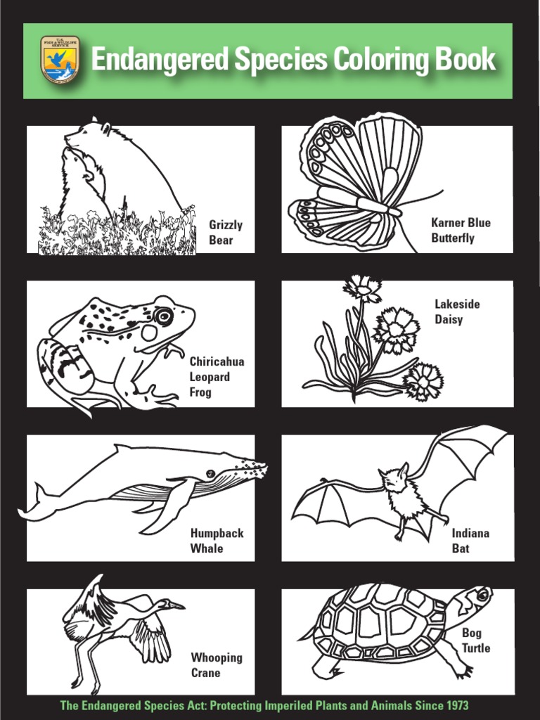 Esa Coloring Book | PDF | Whales | Endangered Species
