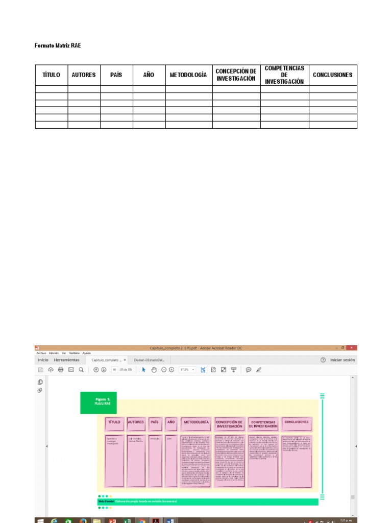 Formato Matriz RAE | PDF