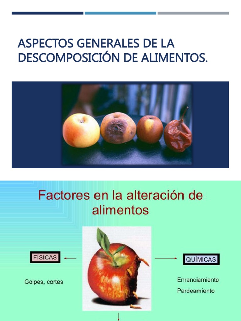 Aspectos Generales de La Descomposición de Alimentos | PDF ...
