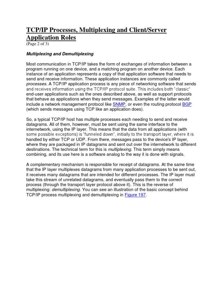TCP/IP Processes, Multiplexing and Client/Server Application Roles | PDF | Port (Computer ...