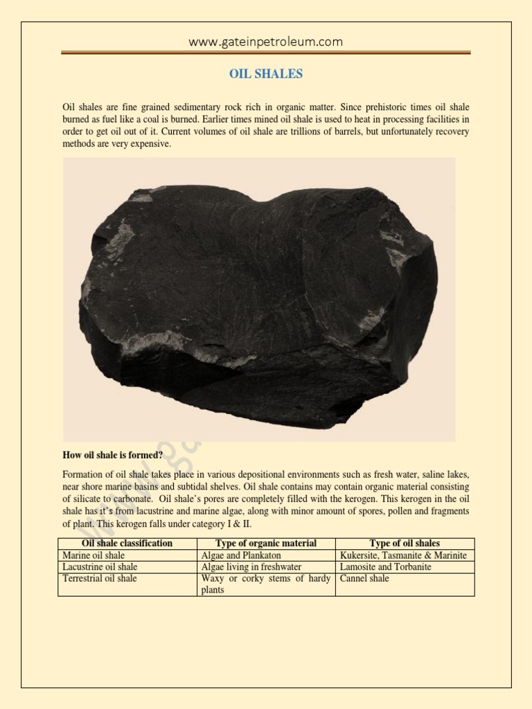 Shale Oil | Download Free PDF | Oil Shale | Shale