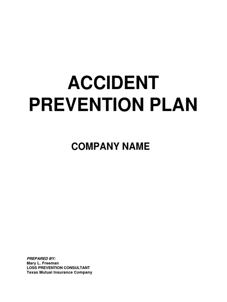 A Generic-Accident-Prevention-Plan-Texas Mutual PDF | PDF ...