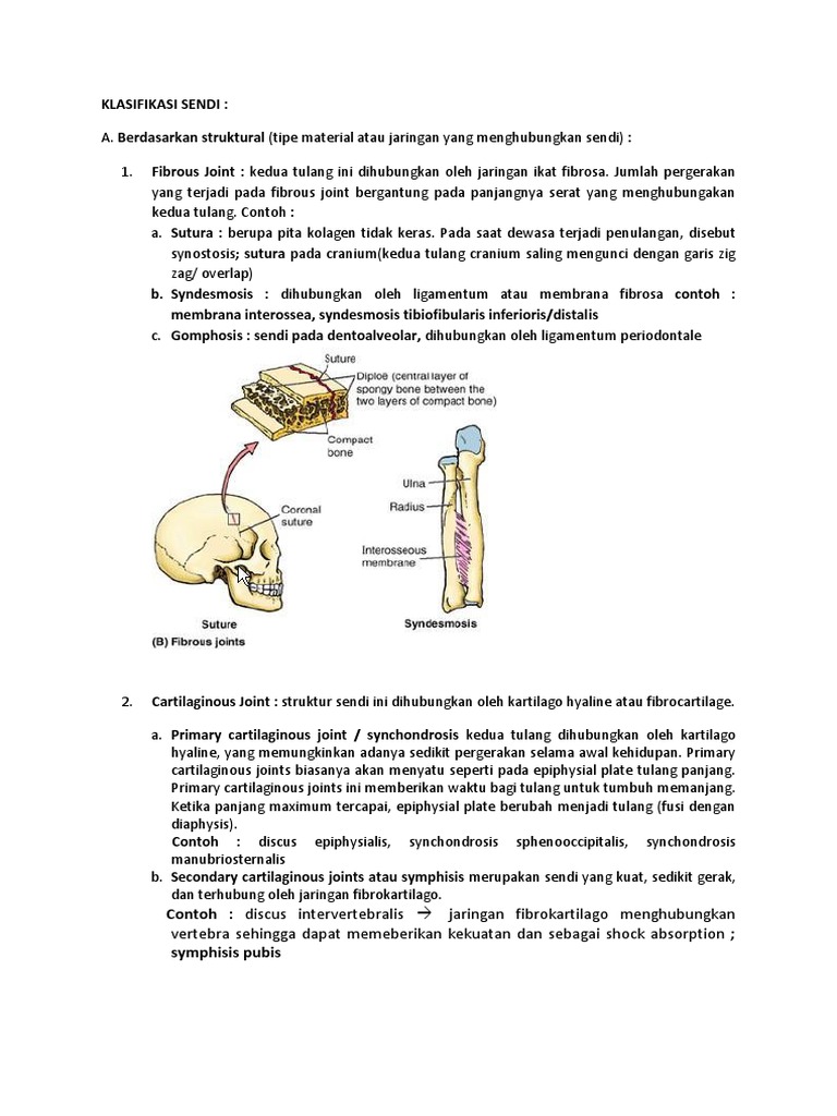Klasifikasi Sendi Pdf