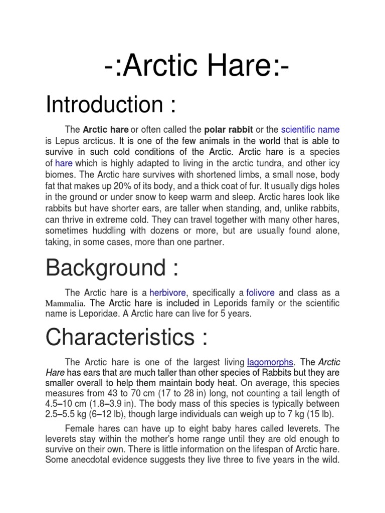 Arctic Hare | PDF | Foods | Nature