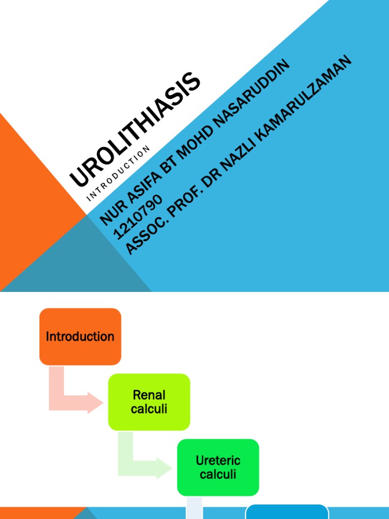 Urolithiasis | Urinary Bladder | Kidney