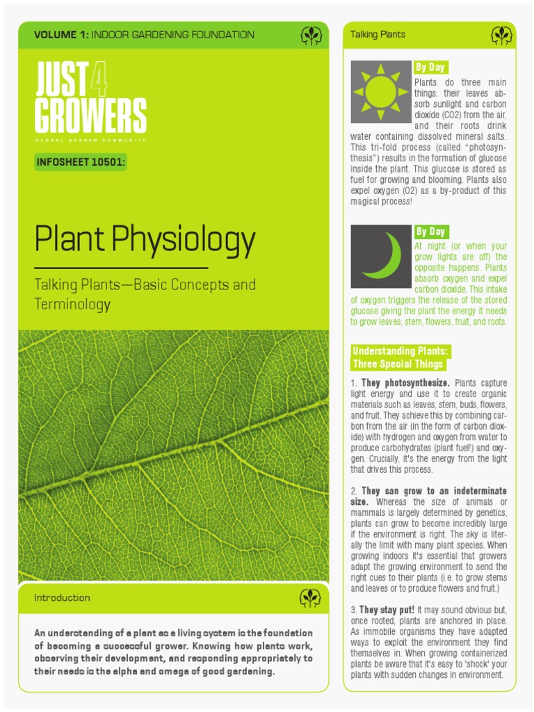 plant_physiology.pdf | Stoma | Plants