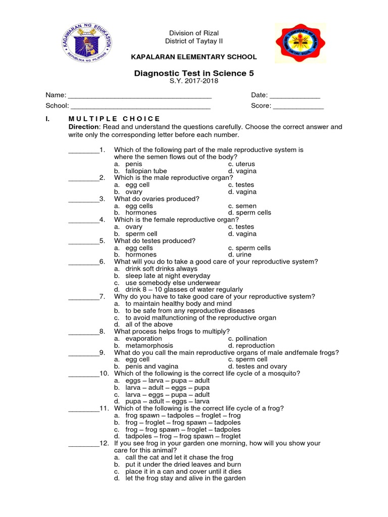 Diagnostic Test in Science 5 | PDF | Rock (Geology) | Atmosphere Of Earth