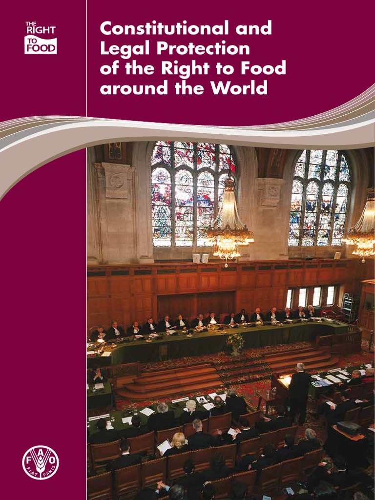 Right To Food | PDF | Human Rights | United States Constitution