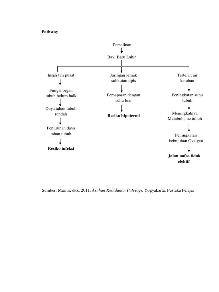 PATHWAY BBL Sehat Post SC | PDF