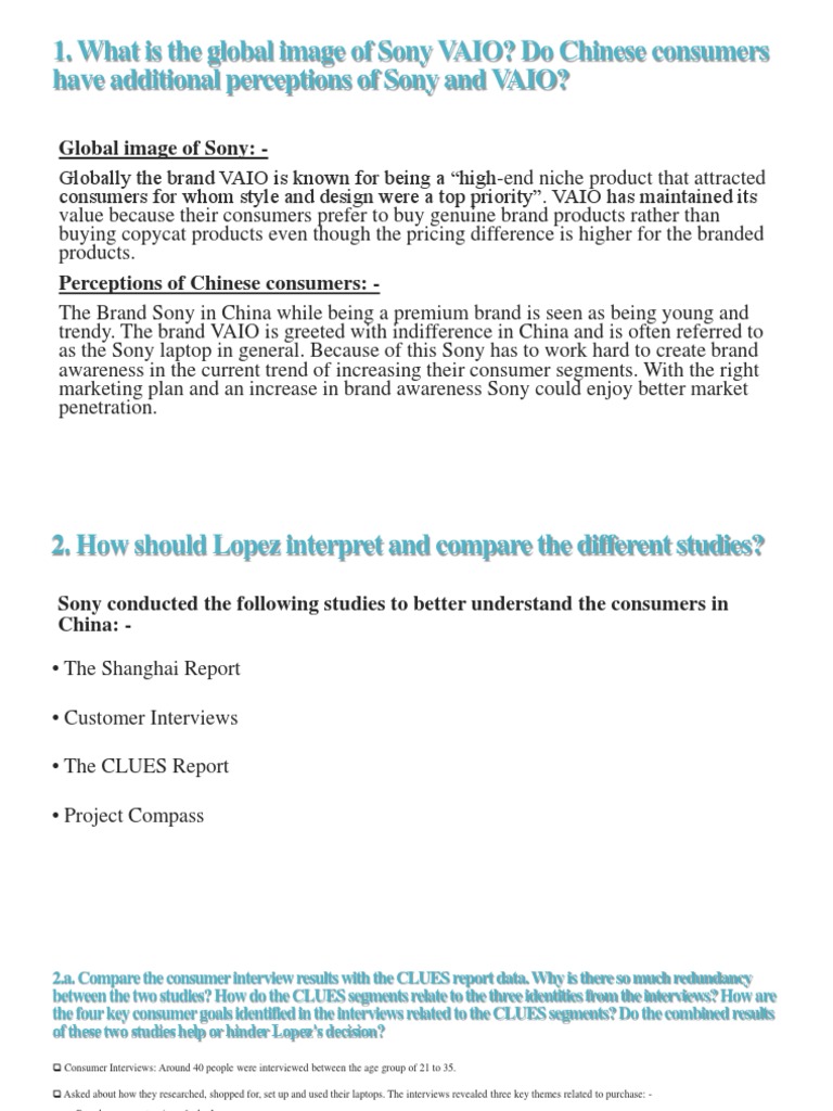 Sony Vaio Case Analysis | PDF | Market Segmentation | Sony