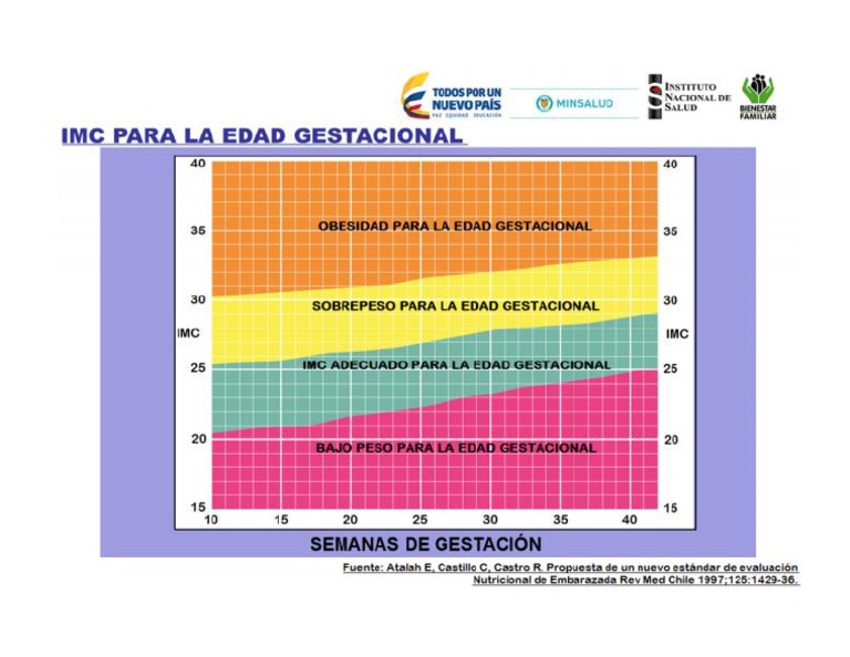 Instrumento IMC Edad Gestacional | PDF