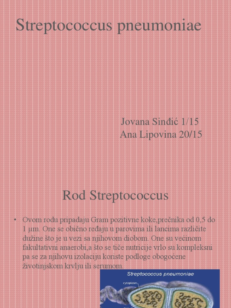 Streptococcus Pneumoniae | PDF