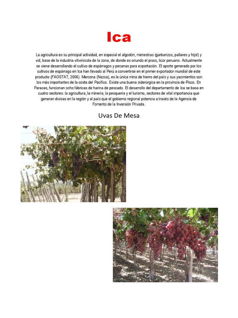 Las Riquezas Naturales de Ica | PDF