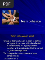 Carron's Model of Team Cohesion Factors | PDF | Leadership | Group ...