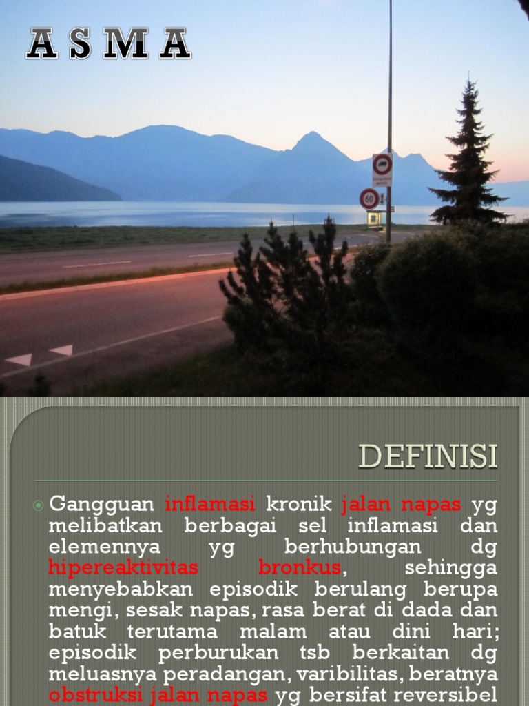 Panduan Diagnosa dan Terapi Asma | PDF