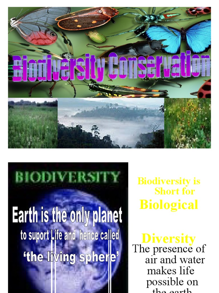Biodiversity Conservation | PDF | Biodiversity | Conservation Biology