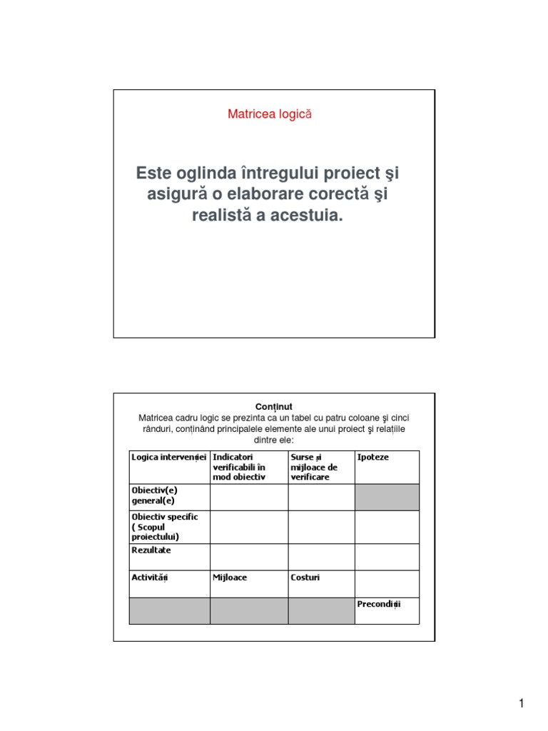 Explicatii MCL PDF | PDF
