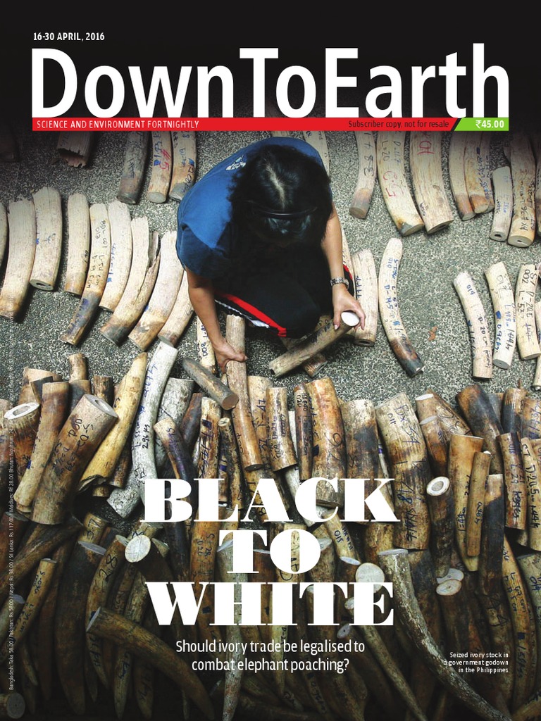 Dte Archive | PDF | Sanitation | Septic Tank