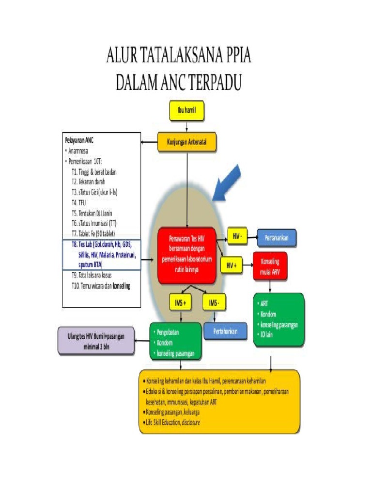 Alur Ibu Hamil Ppia | PDF