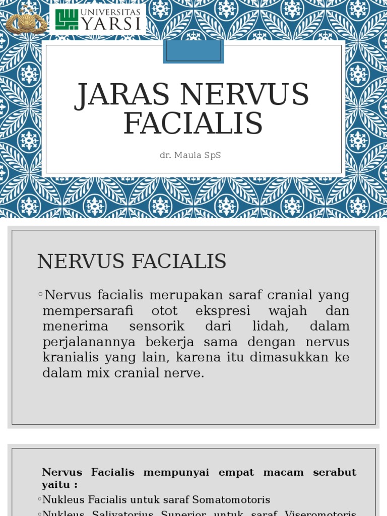 Jaras Nervus Facialis | PDF