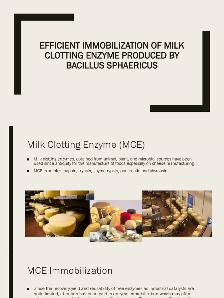 Enzyme Immobilization Bioche | PDF | Enzyme | Adsorption