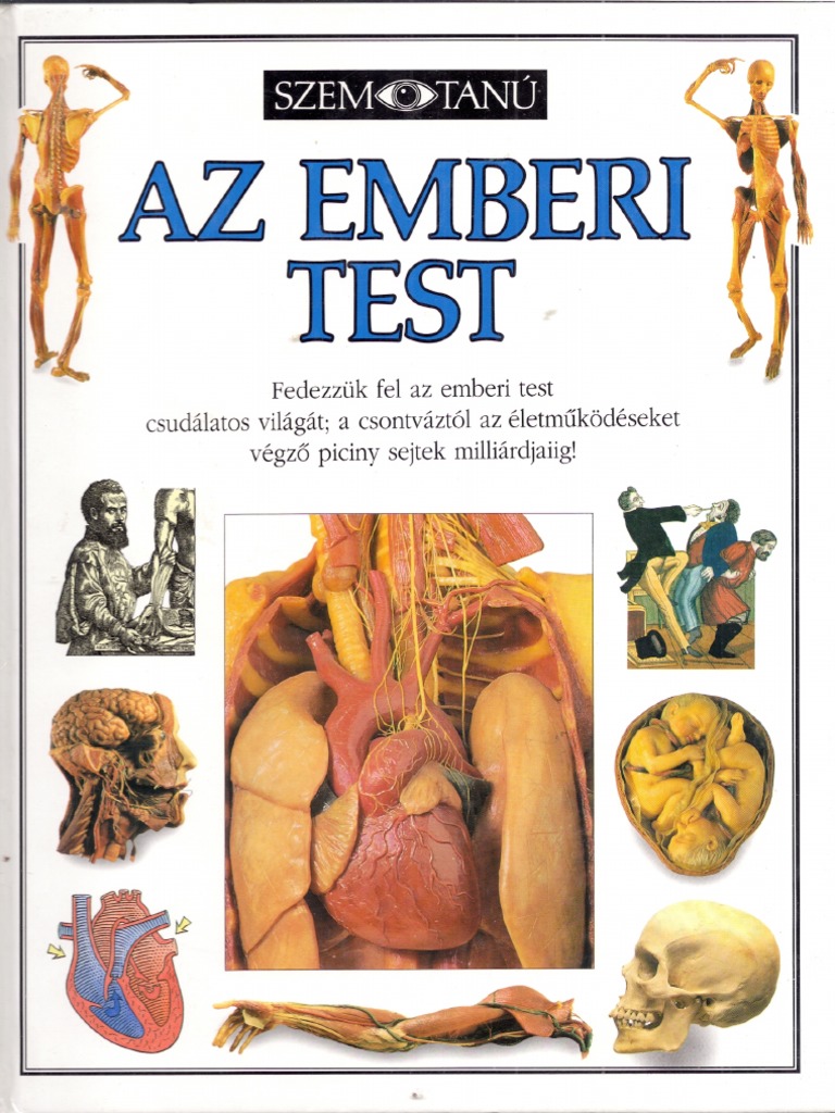 Steve Parker - Az Emberi Test | PDF