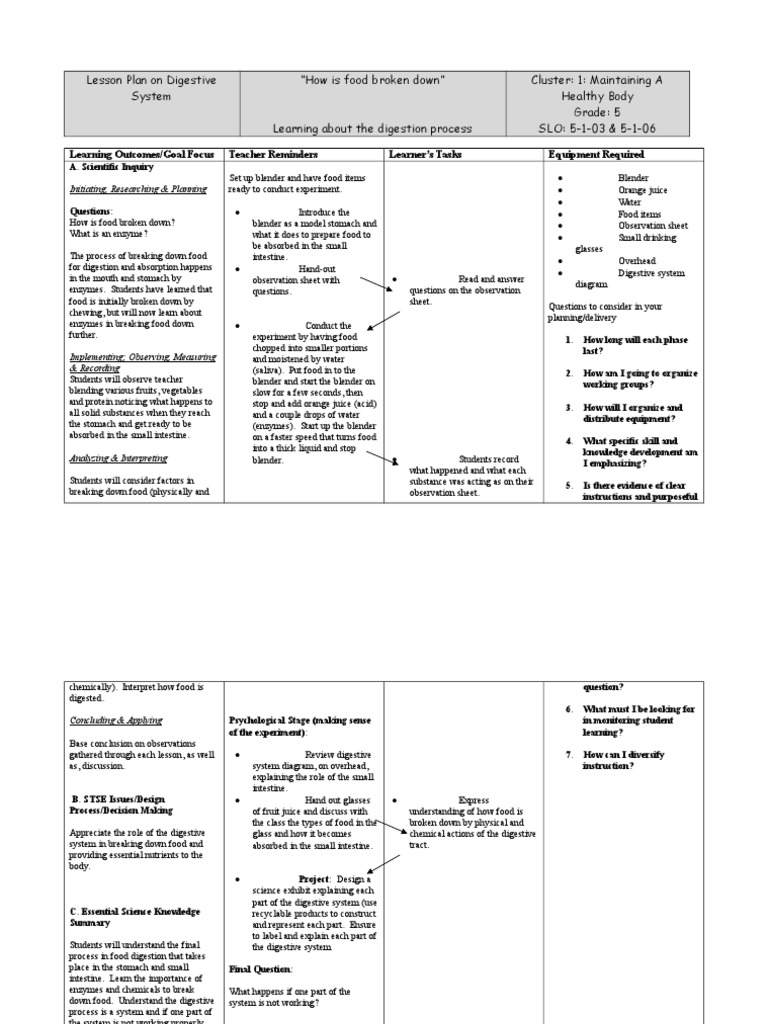 5-1-06 - Digestive System - Lesson | PDF | Self-Improvement
