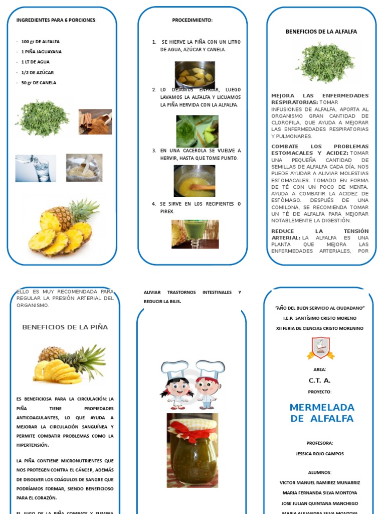 Triptico de La Mermelada de Alfalfa 1 Link No Fake