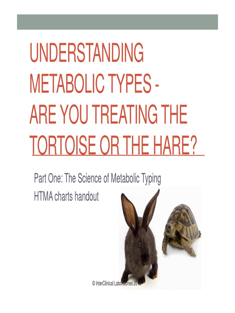Metabolic Types Chart Handout | PDF | Endocrine System | Glands