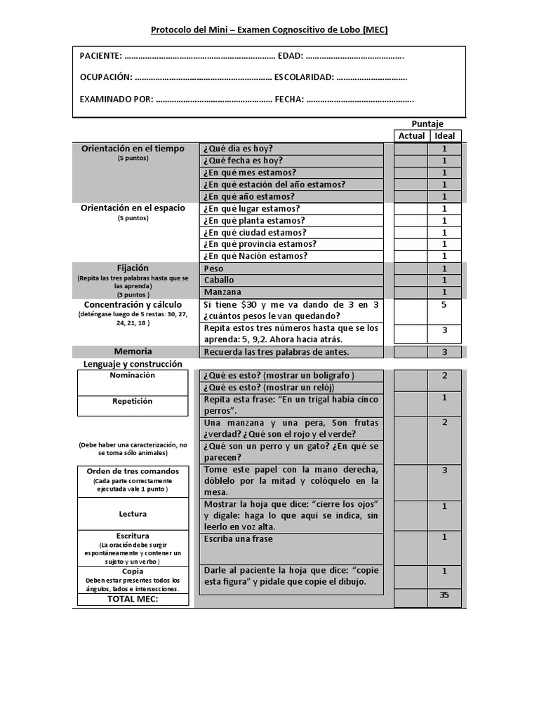 Protocolo Del MEC | PDF | Idiomas