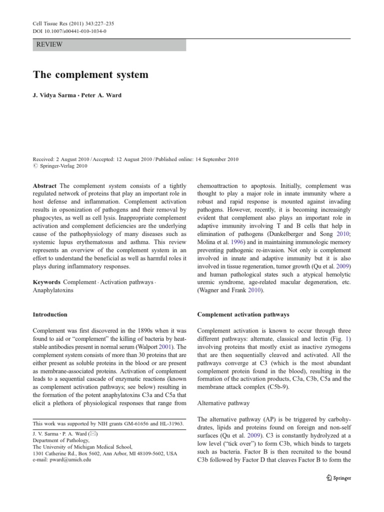 An In-Depth Review of the Complement System: Pathways of Activation ...