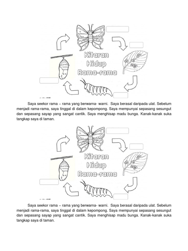 Saya Seekor Rama | PDF