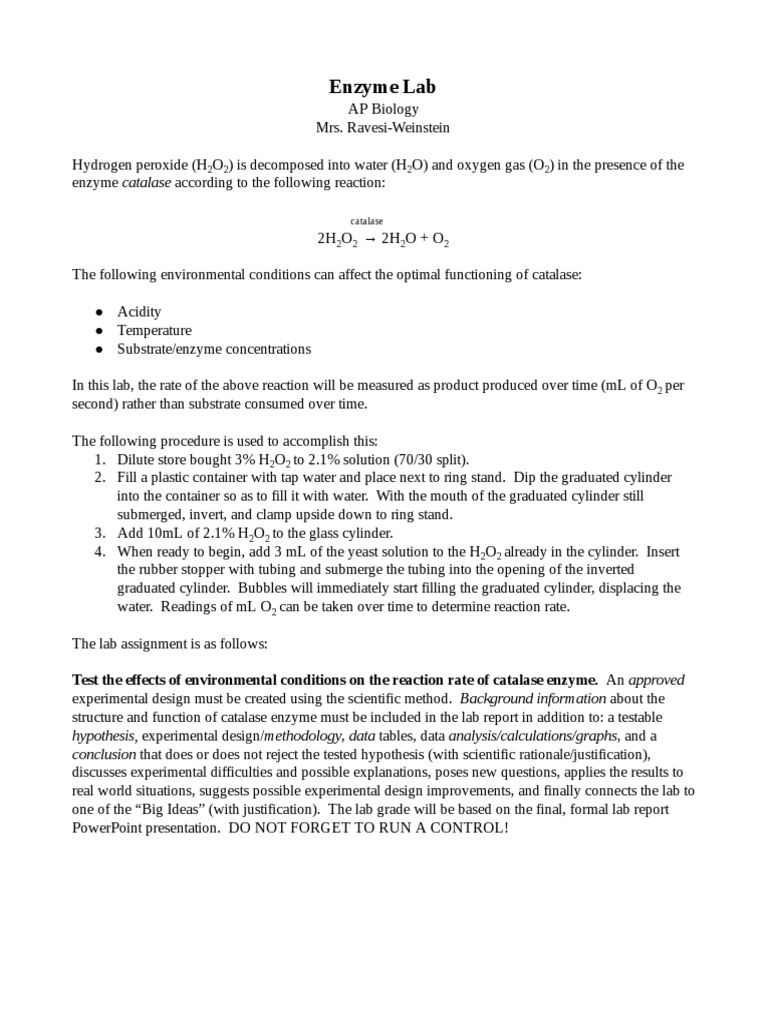 AP Biology Enzyme Lab Guide | PDF | Hydrogen Peroxide | Catalase