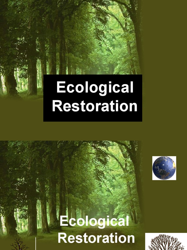 ENVISCI Ecological Restoration | PDF | Restoration Ecology | Ecology