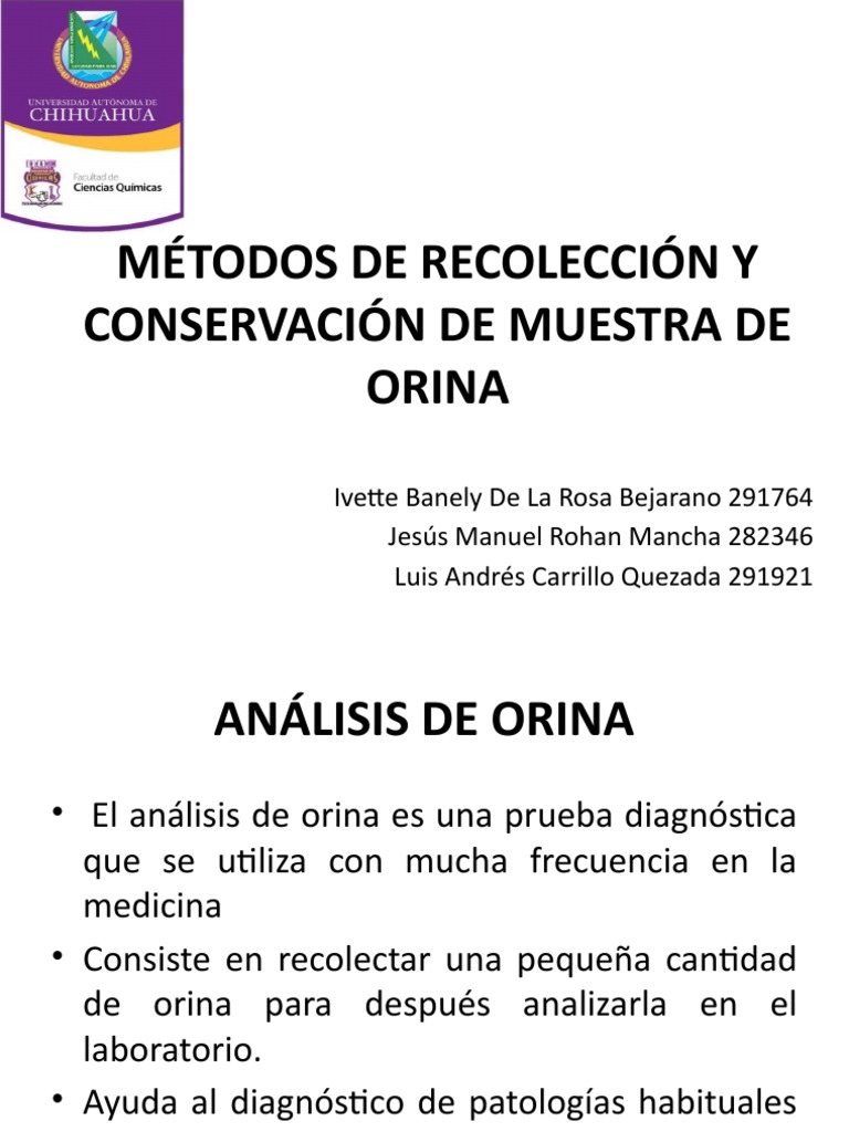 Equipo 2 Métodos de Recolección y Conservación de Muestra de Orina | PDF | Orina | Sistema urinario