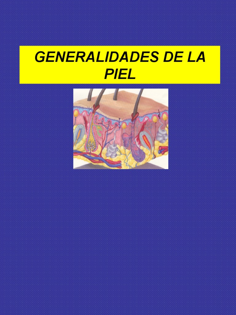 Generalidades de La Piel | PDF | Piel | Epidermis