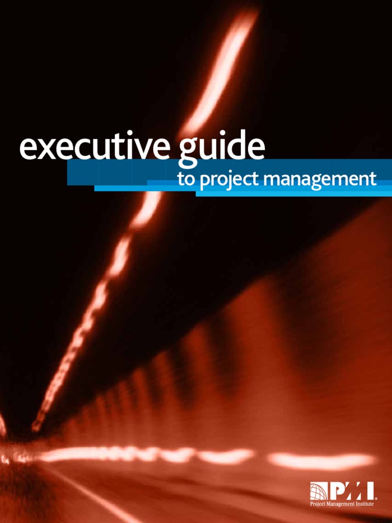 Pmi Executive Guide PDF | PDF | Project Management | Strategic Management