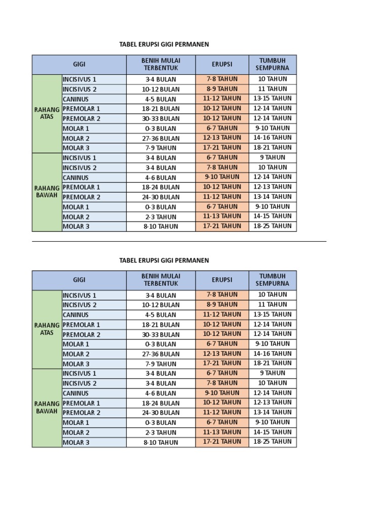 Tabel Erupsi Ggi Permanen | PDF